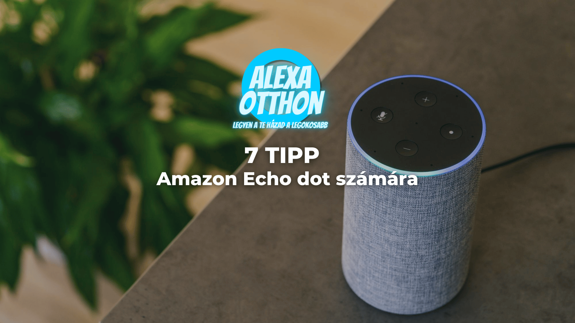 7 kreatív felhasználása az Amazon Echo Alexa számára